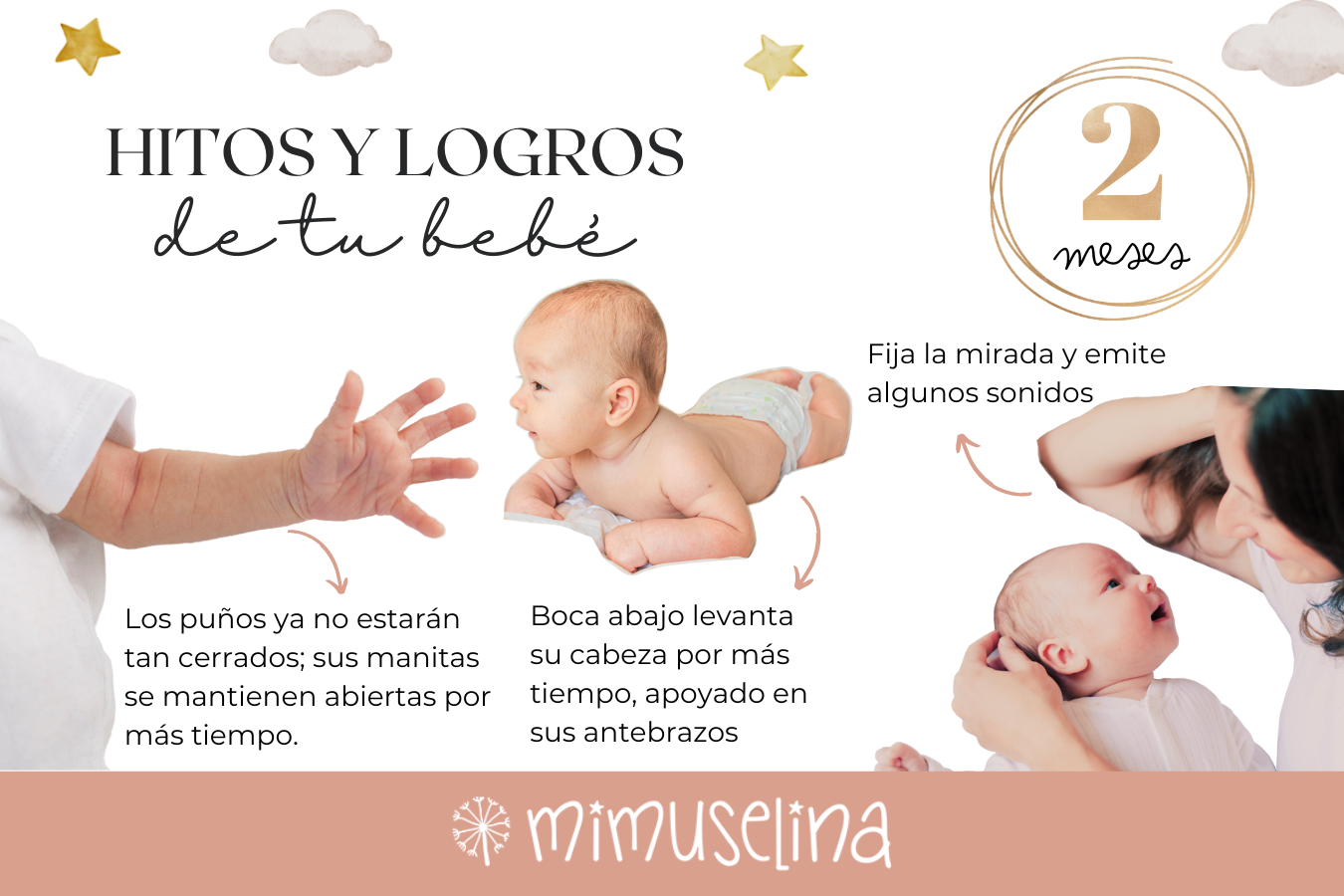 Hitos del desarrollo y logros del bebé de 2 meses 👶🏻 | Mimuselina Blog | Mimuselina
