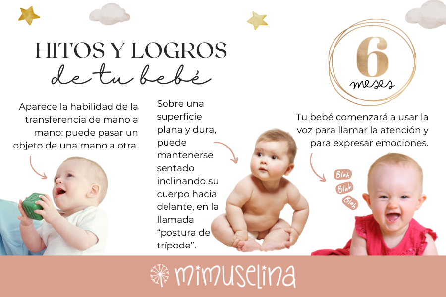 Hitos del desarrollo y logros del bebé de 6 meses 👶🏻 | Mimuselina Blog ...